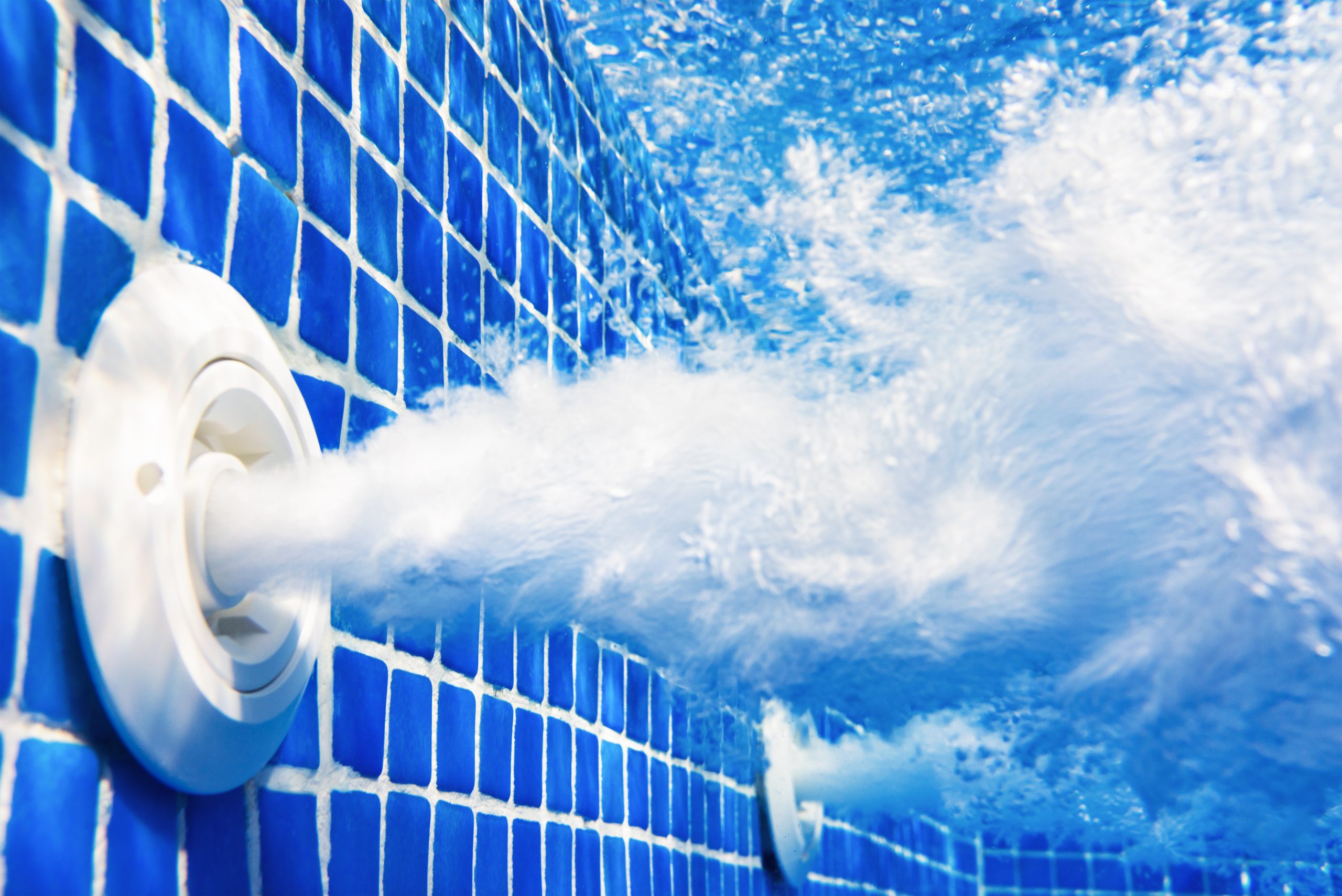 Pool Plant Audits - Brio